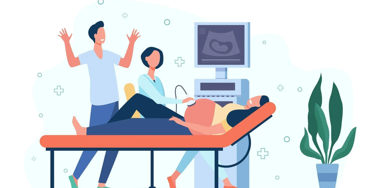 How Ultrasound Therapy Machines Boost Physiotherapy Recovery — MEDELCO